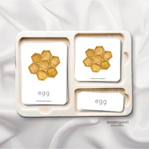 BEE Life Cycle of a Bee With Montessori Nomenclature Cards - Etsy