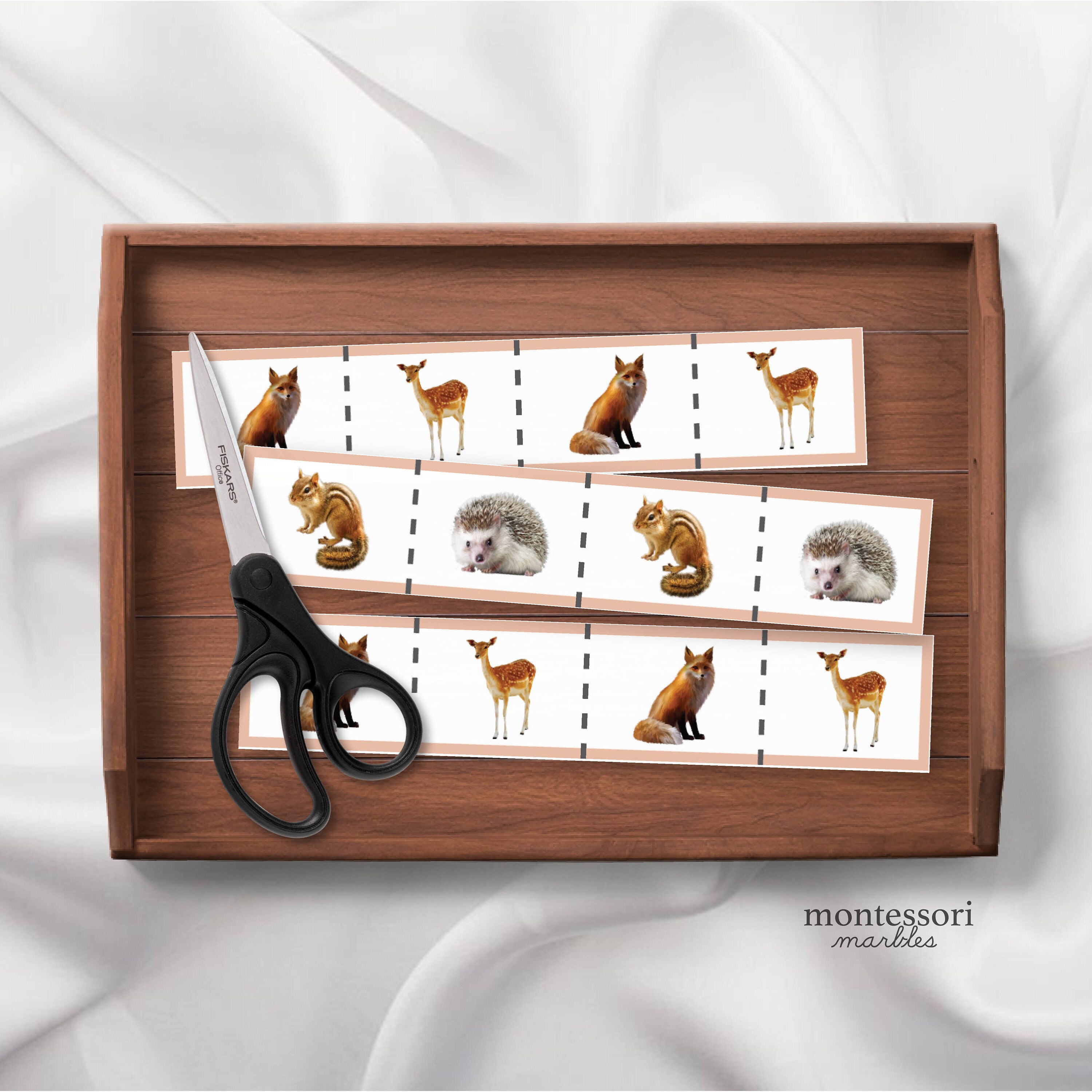 WOODLAND ANIMALS Cutting Strips Montessori Inspired Real - Etsy