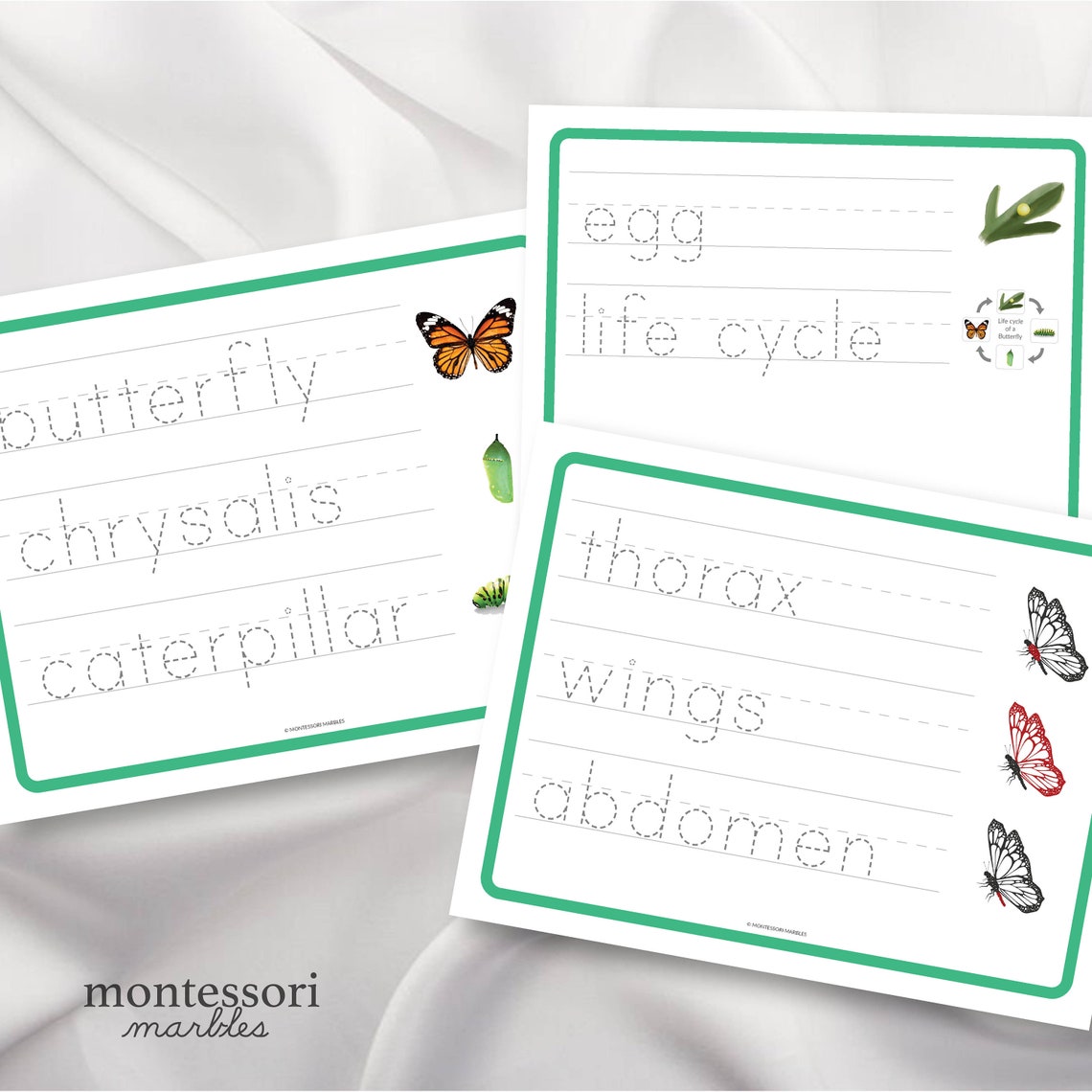 Butterfly Tracing Activities for Preschool and Kindergarten in - Etsy