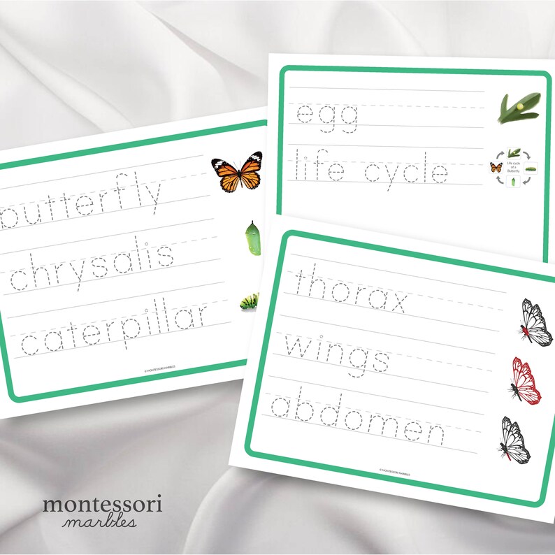 Butterfly Tracing Activities for Preschool and Kindergarten in - Etsy
