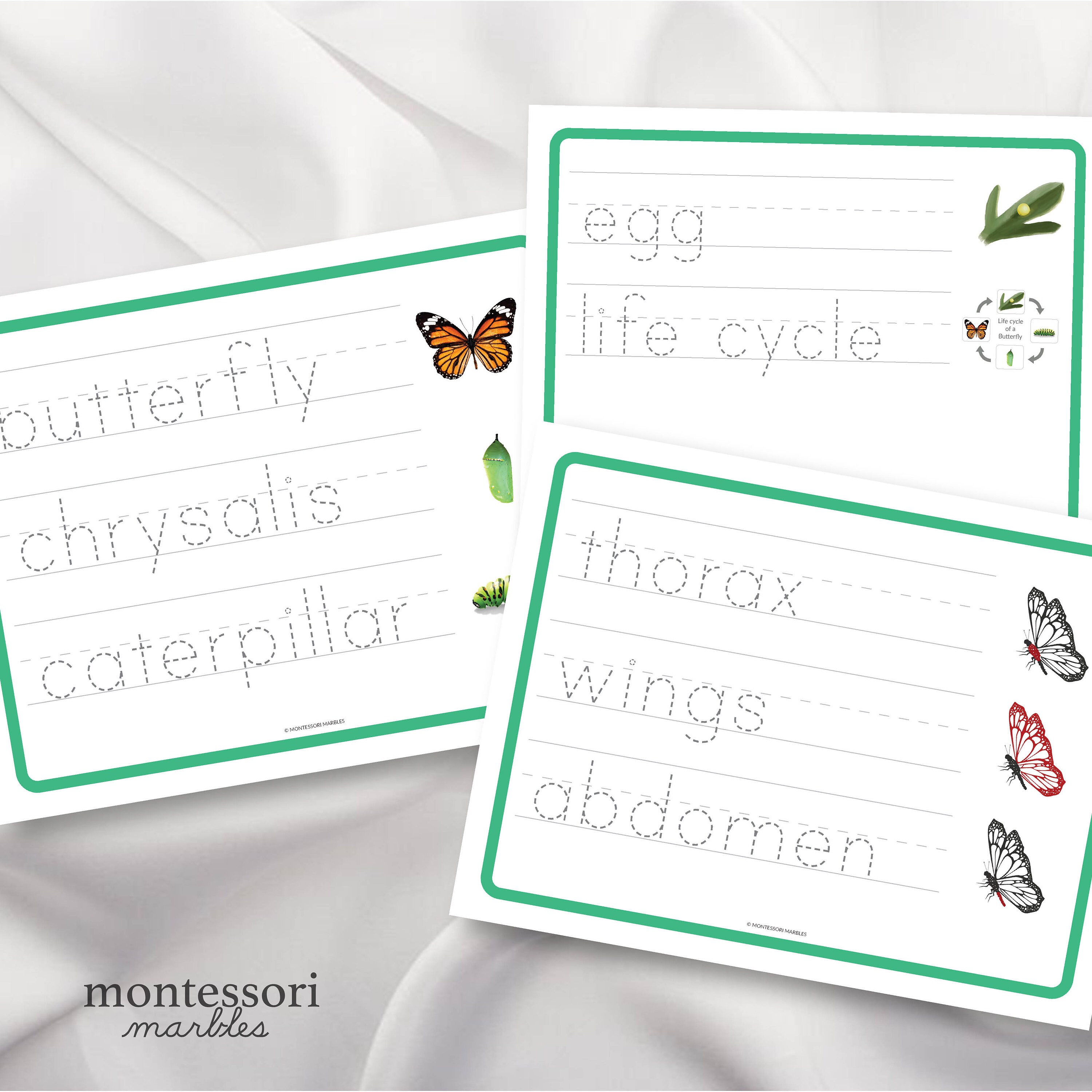 Butterfly Tracing Activities for Preschool and Kindergarten in - Etsy