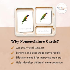 AUSTRALIAN ANIMALS Nomenclature Cards | Montessori Inspired Learning ...