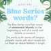 Blue Series Pairing Cards | Montessori Language | Early Literacy ...
