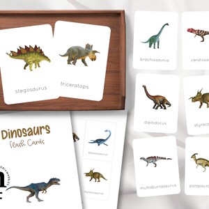 DINOSAURS Flash Cards 18 Flashcards Montessori Inspired Homeschool ...