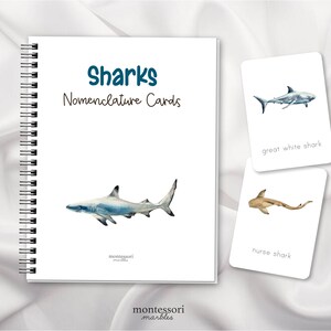 SHARKS Nomenclature Cards Types of Sharks Watercolor Sharks Flash Cards ...