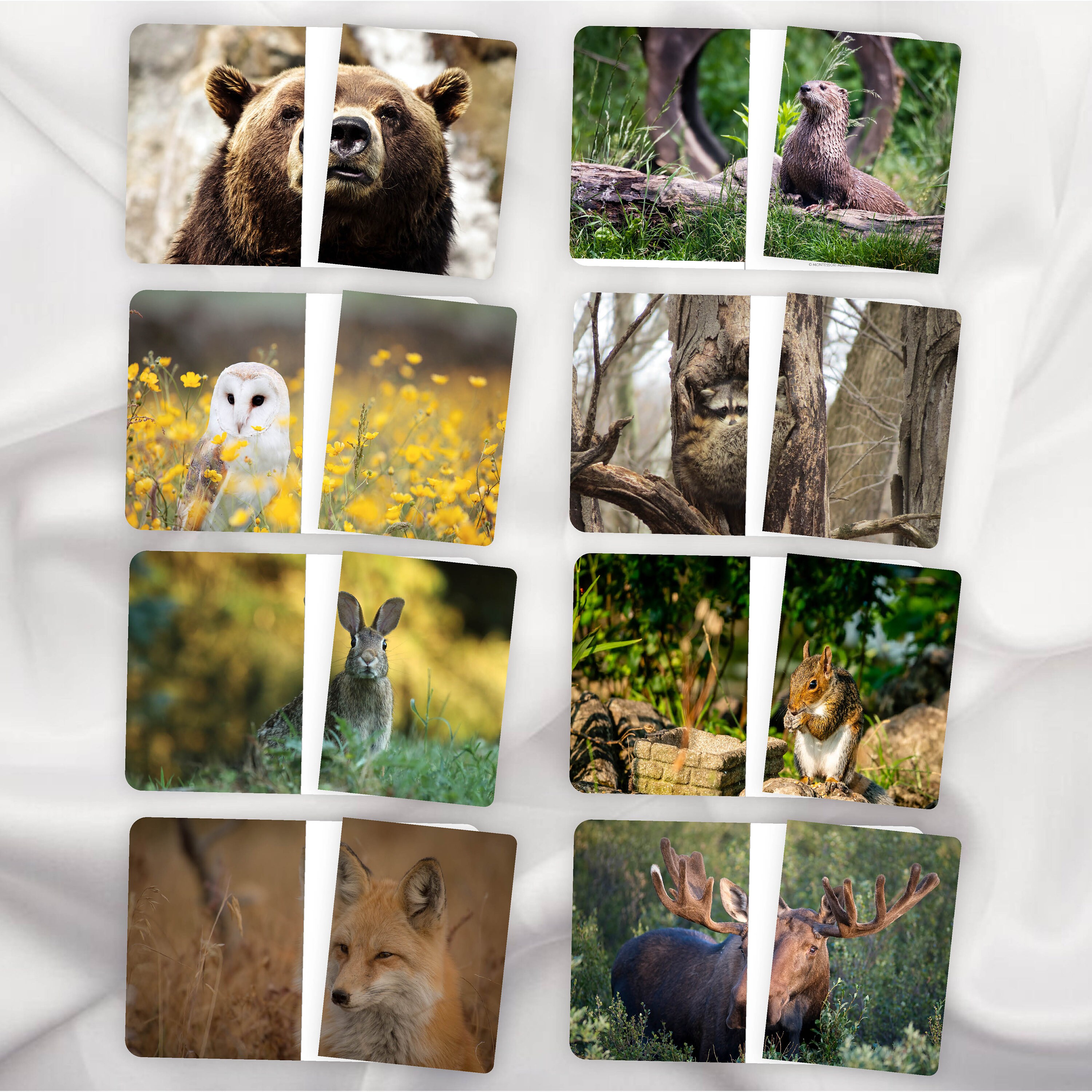 WOODLAND ANIMALS Montessori Picture Matching Activity - Etsy