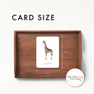SAFARI ANIMALS Montessori Nomenclature Cards | Nature-based Learning ...