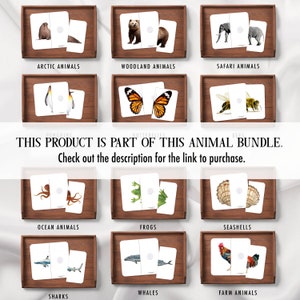 WOODLAND ANIMALS Two-piece Puzzles | Montessori Inspired Printable ...