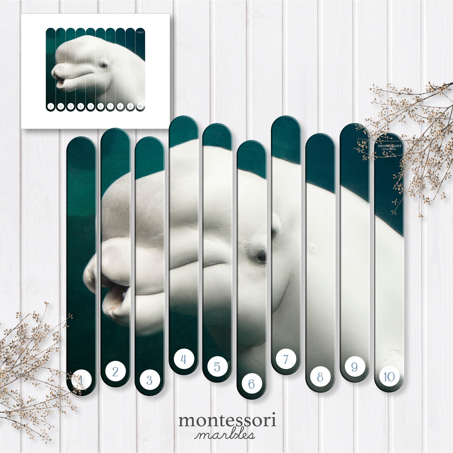 WHALES Skip Counting by 2s 3s 5s and 10s Early Math Math - Etsy