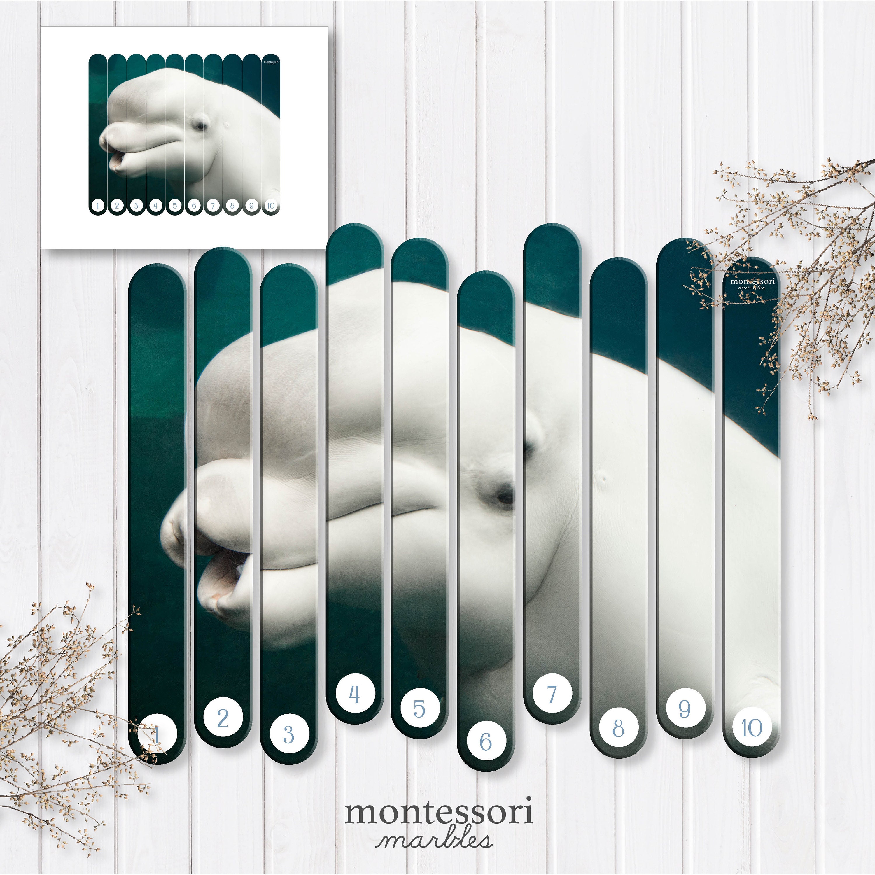 WHALES Skip Counting by 2s 3s 5s and 10s Early Math Math - Etsy