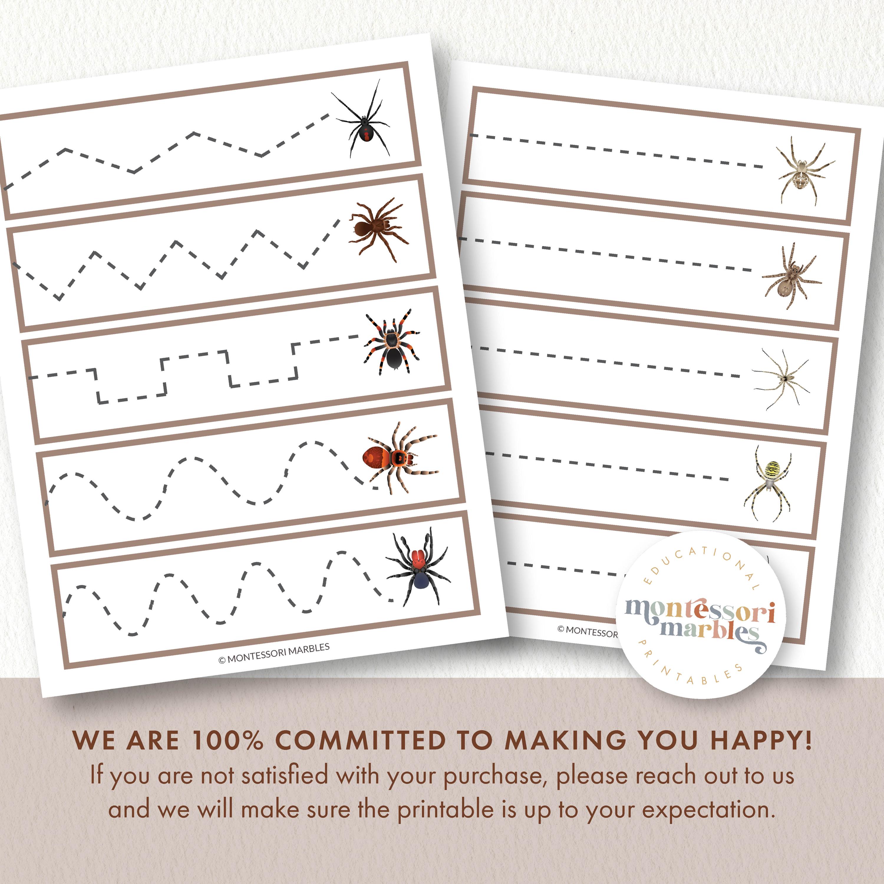 Spiders Cutting Strips | Scissor Practice Fine Motor Skills | Ages 2-5 ...