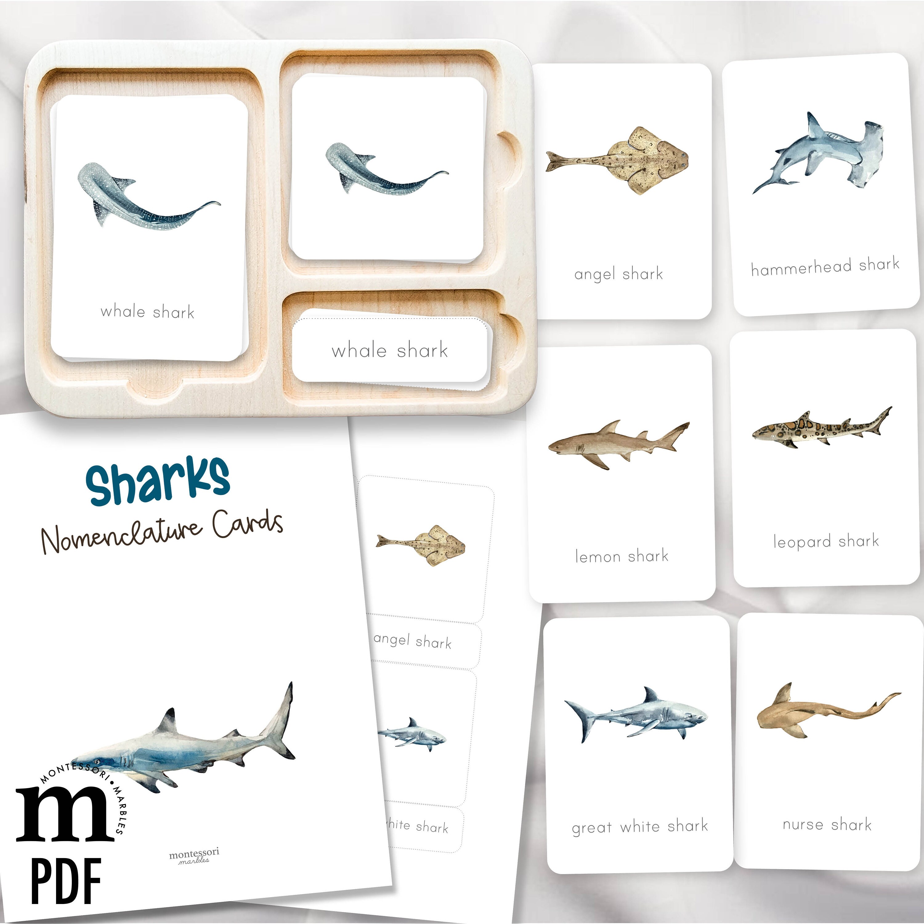 SHARKS Nomenclature Cards Types of Sharks Watercolor Sharks Flash Cards ...