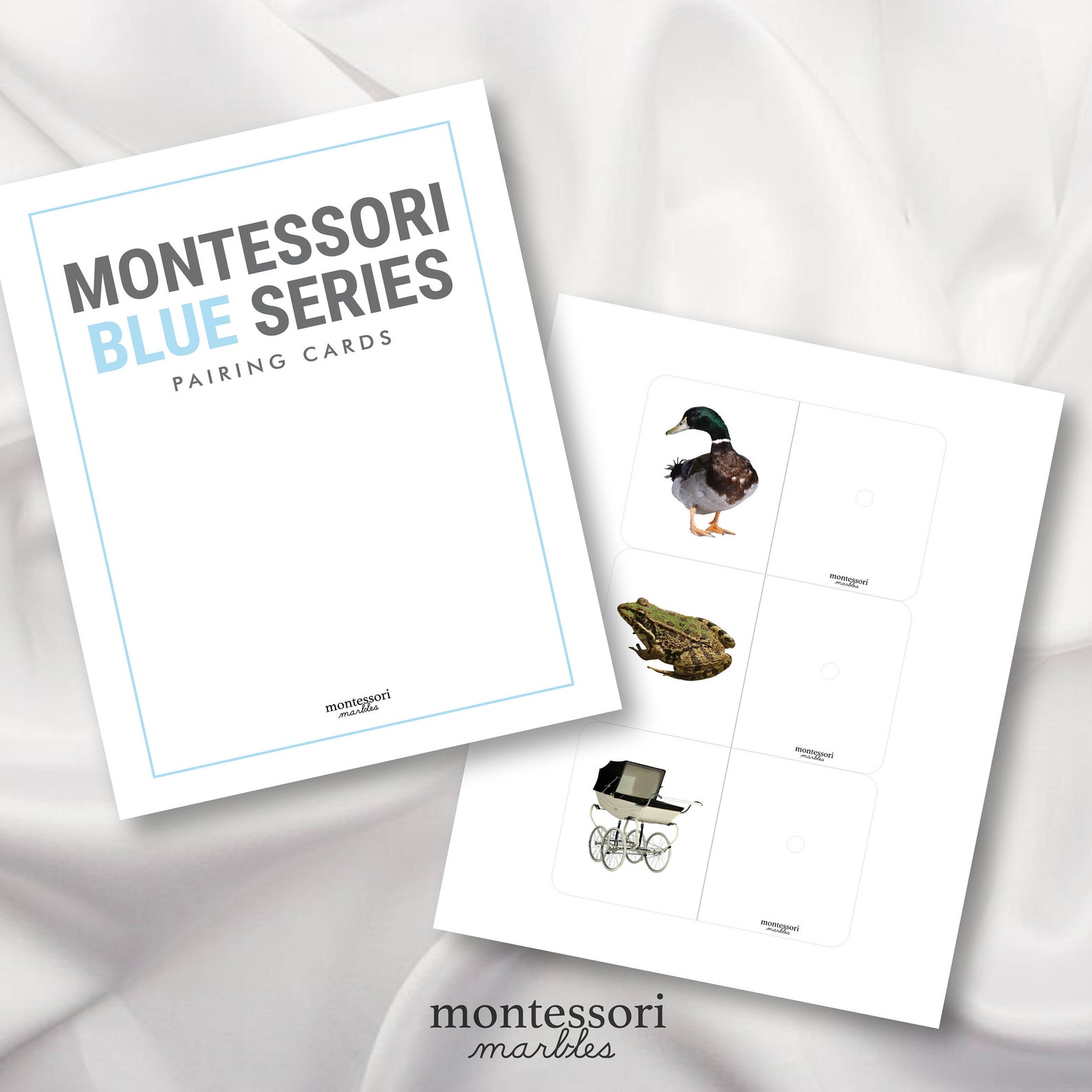 MONTESSORI BLUE SERIES Pairing Cards Montessori Language - Etsy