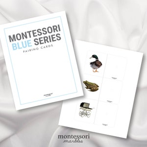 MONTESSORI BLUE SERIES Pairing Cards Montessori Language - Etsy