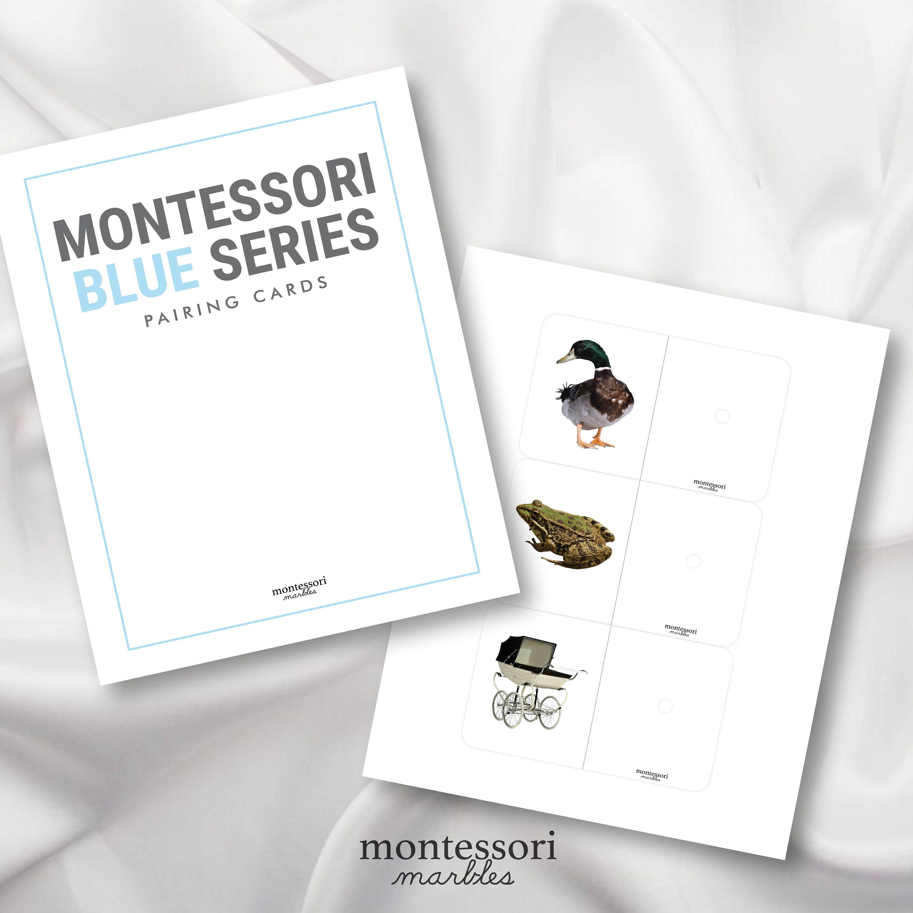 MONTESSORI BLUE SERIES Pairing Cards Montessori Language - Etsy