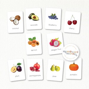 FRUITS Nomenclature Cards | Montessori Inspired Resources With Real ...