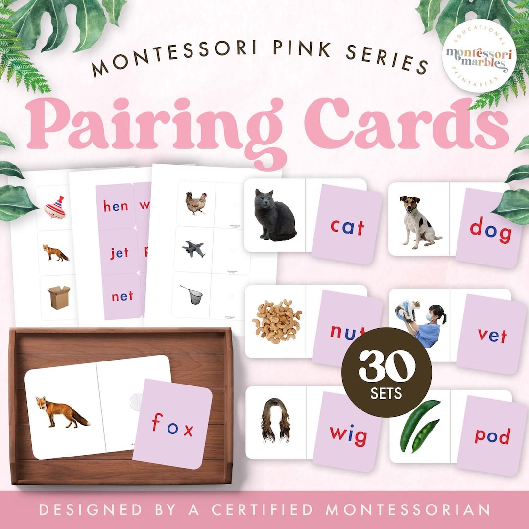 Montessori Reading Cards | Pink Series CVC Words | Homeschool ...