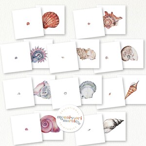 SEASHELLS Magnifying Matching Game | Montessori at Home Using ...