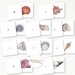 SEASHELLS Magnifying Matching Game Montessori at Home Using Magnifying ...