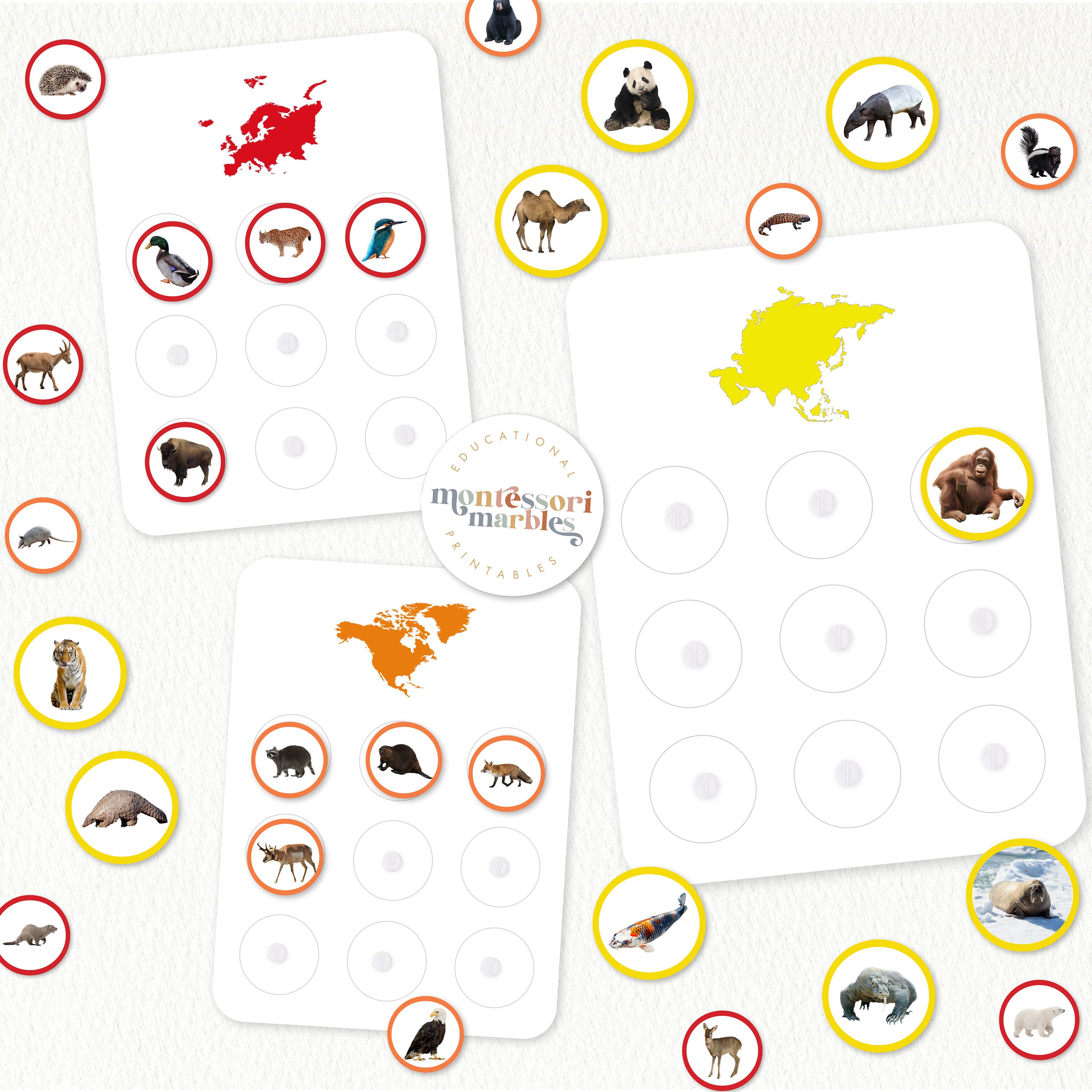 ANIMALS AND CONTINENTS Sorting Cards Geography-based Animals Activity ...