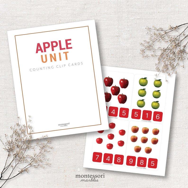 APPLES Counting 1 to 20 Flash Cards Kindergarten Math Learn - Etsy