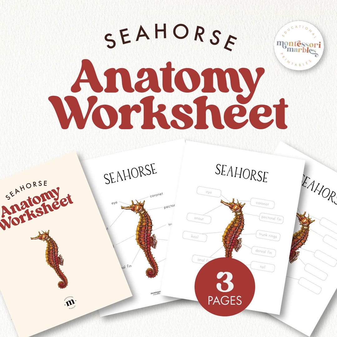SEAHORSE Anatomy Worksheet | Printable PDF Activity Worksheet | Nature ...