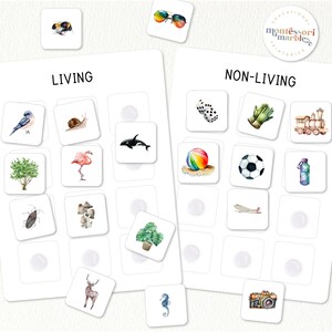 Living & Non-living Sorting Cards | Montessori Science Concept Learning ...