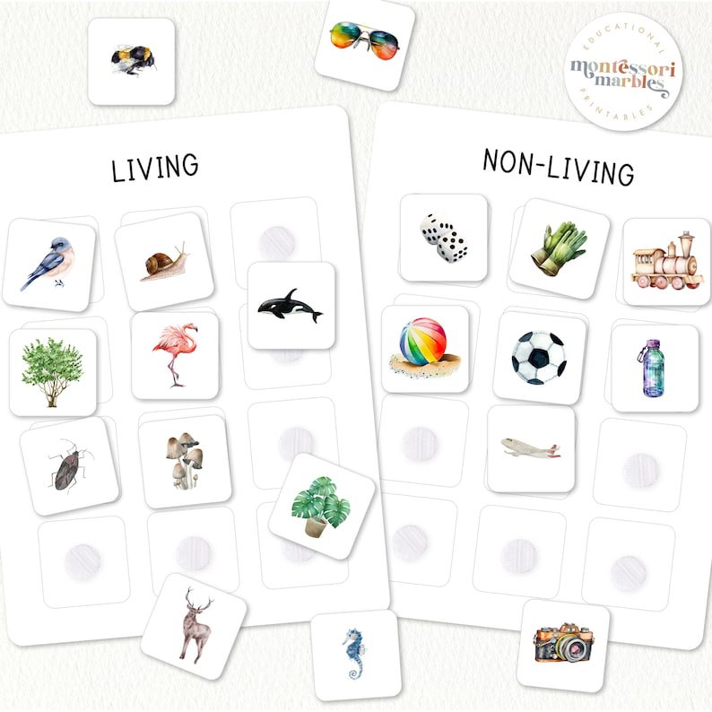 Living & Non-living Sorting Cards | Montessori Science Concept Learning ...
