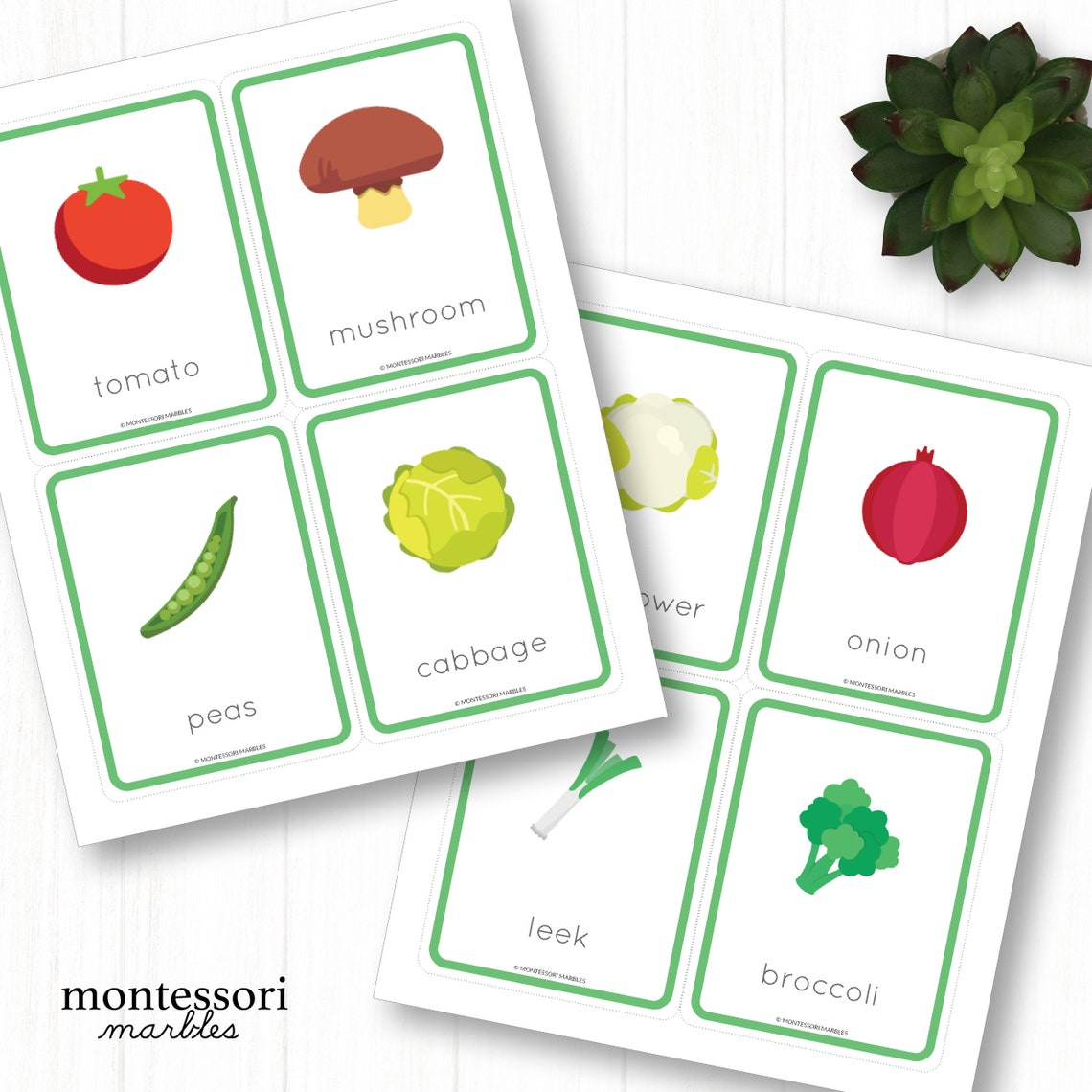 VEGETABLE Flash Cards Montessori Resources Preschool Prek | Etsy