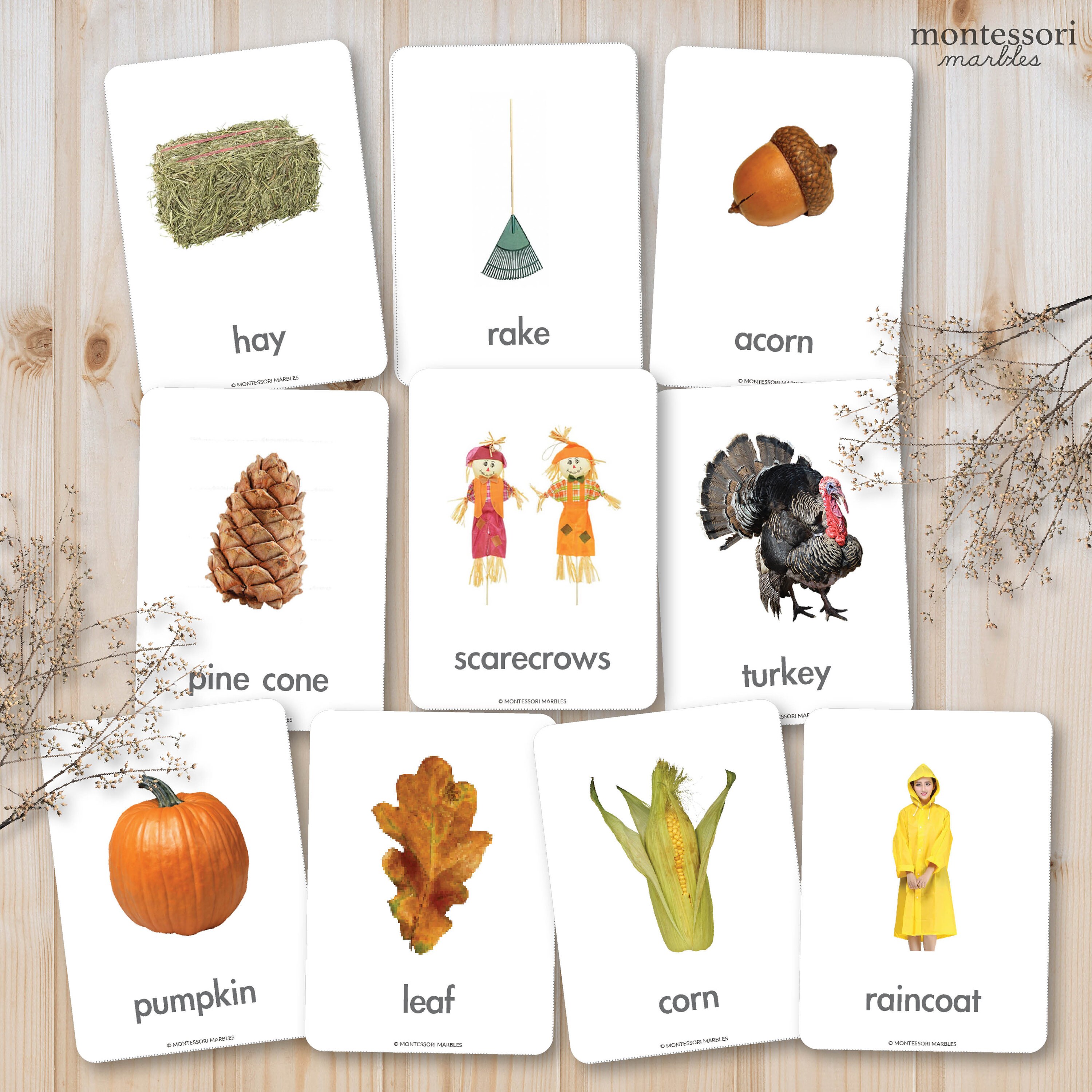 FALL Montessori Nomenclature Cards Autumn Flash Cards - Etsy