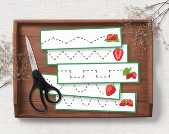 Strawberry Life Cycle Worksheets - Etsy