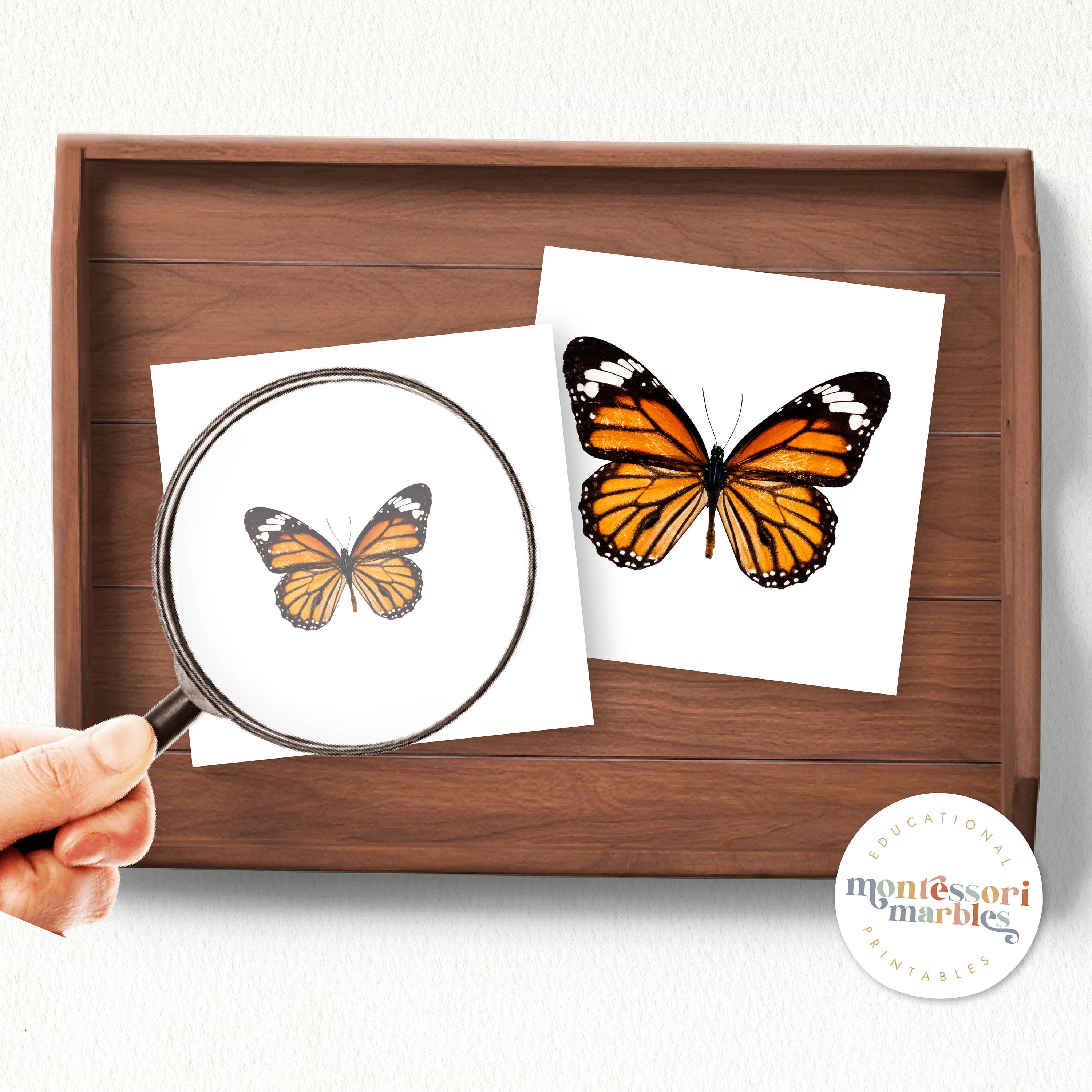 BUTTERFLY Magnifying Matching Game Montessori at Home Using Magnifying ...
