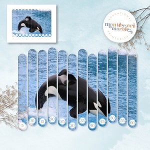 WHALES Skip Counting by 2s, 3s, 5s and 10s, Early Math, Math Puzzles ...