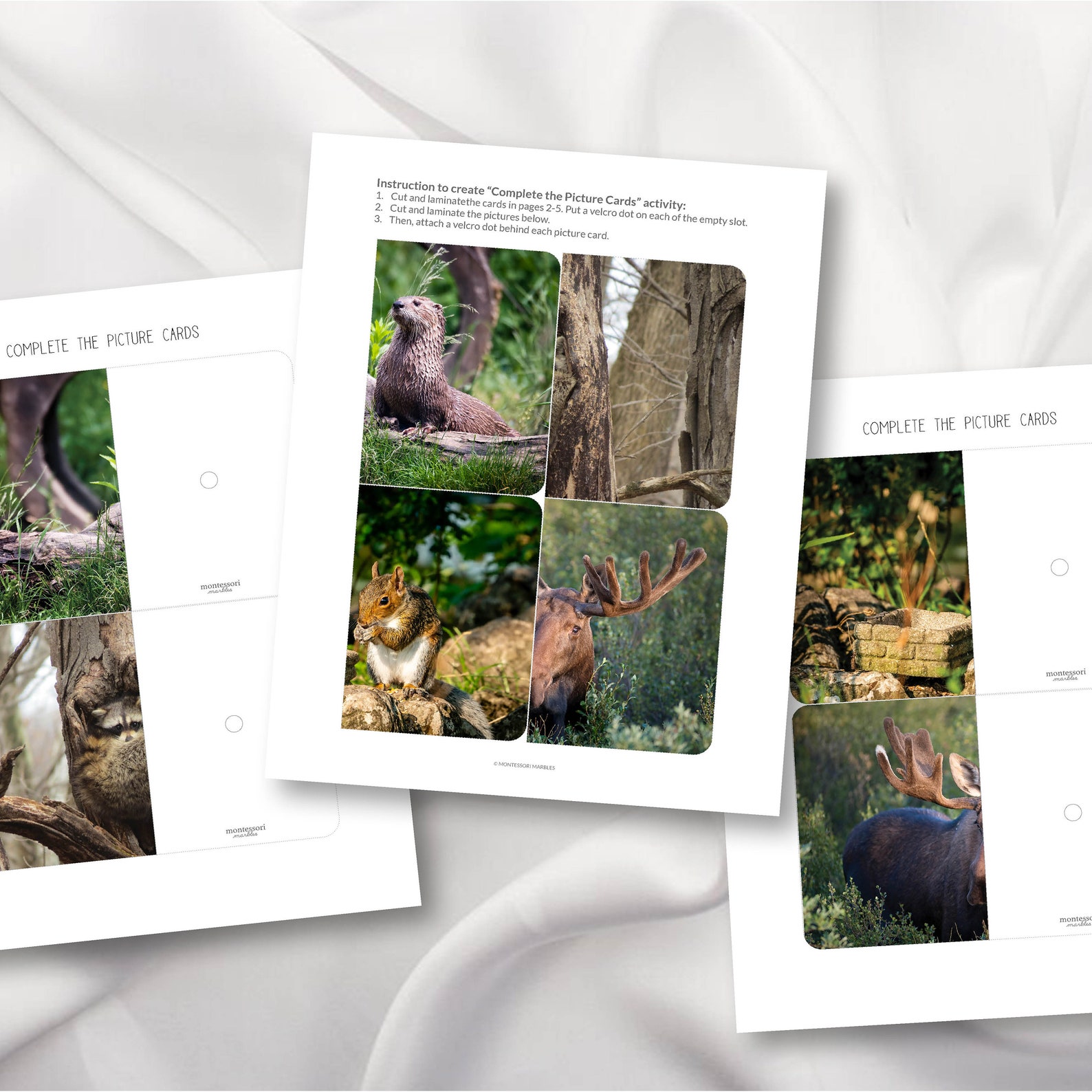 WOODLAND ANIMALS Montessori Picture Matching Activity - Etsy