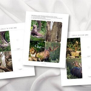 WOODLAND ANIMALS Montessori Picture Matching Activity - Etsy