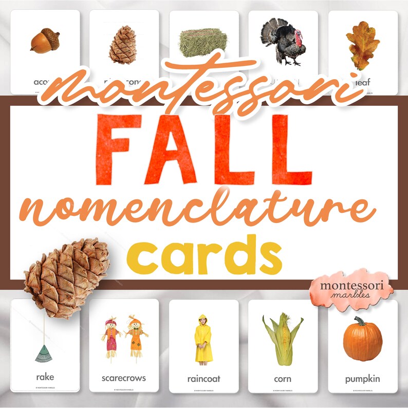 FALL Montessori Nomenclature Cards Autumn Flash Cards - Etsy