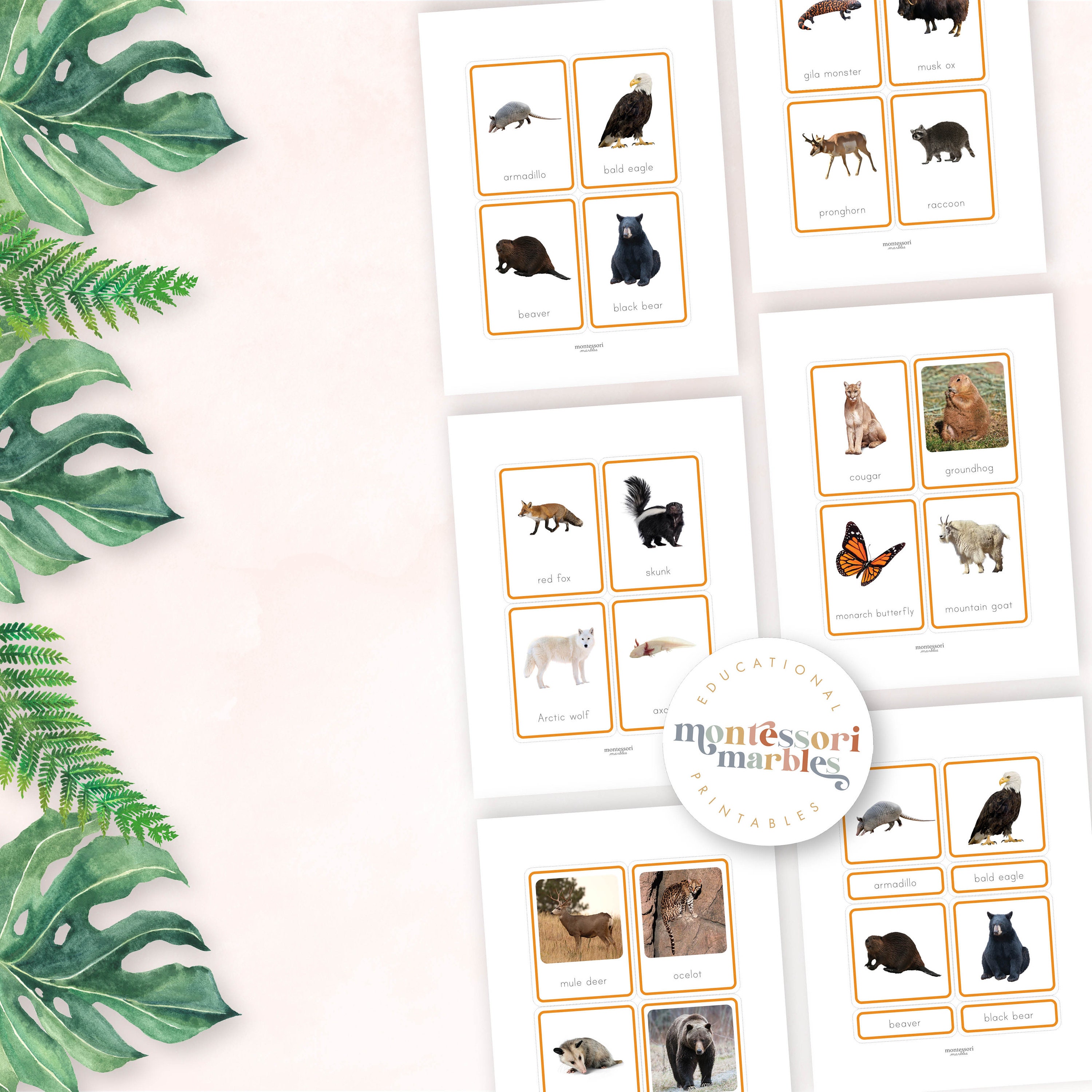 ANIMALS of NORTH AMERICA Montessori Nomenclature Cards Nature-based ...