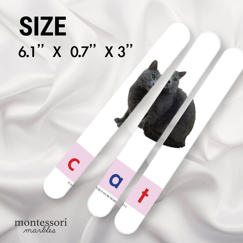 MONTESSORI PINK SERIES Craft Stick Puzzles 60 Cvc Words for - Etsy