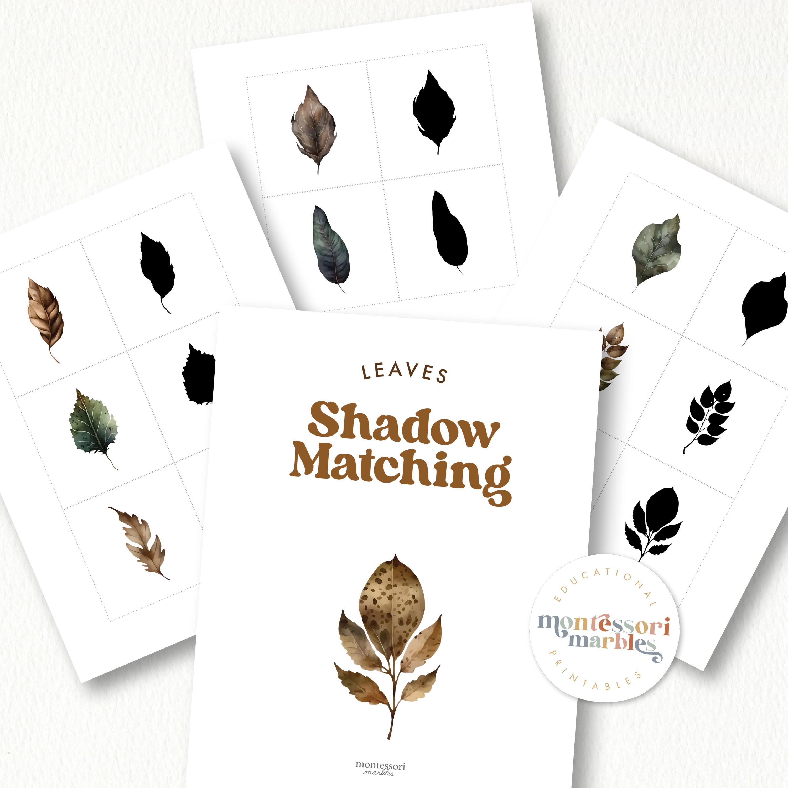 Leaves Shadow Matching Game | Montessori Nature Visual Skills ...