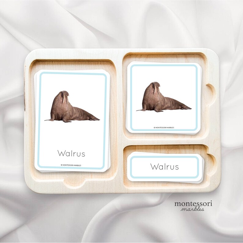 POLAR ANIMALS Nomenclature Cards Arctic Animals Montessori - Etsy