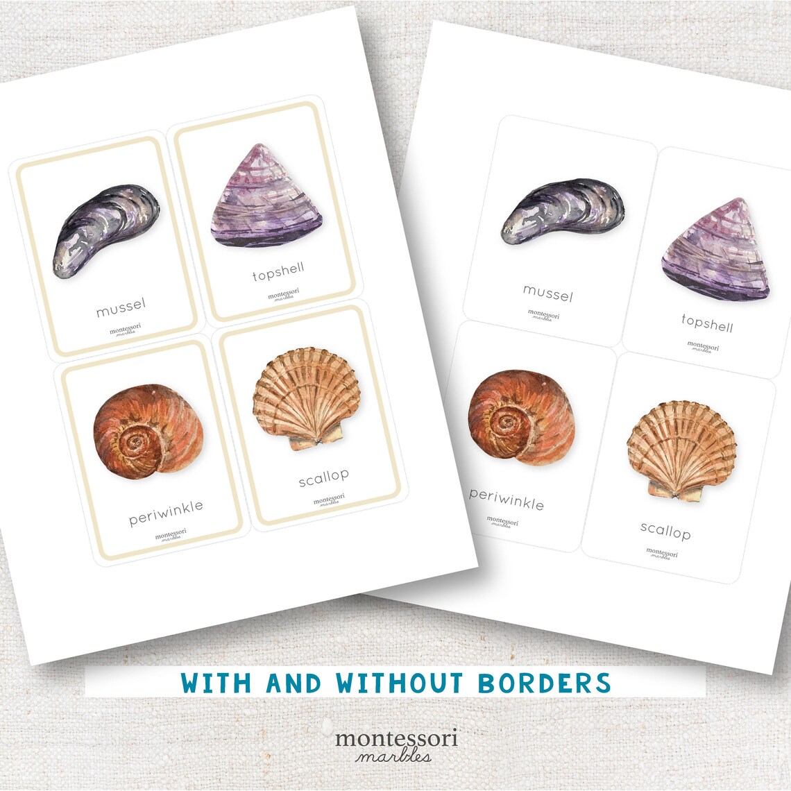 SEASHELLS Flash Cards Montessori Inspired Printable | Etsy