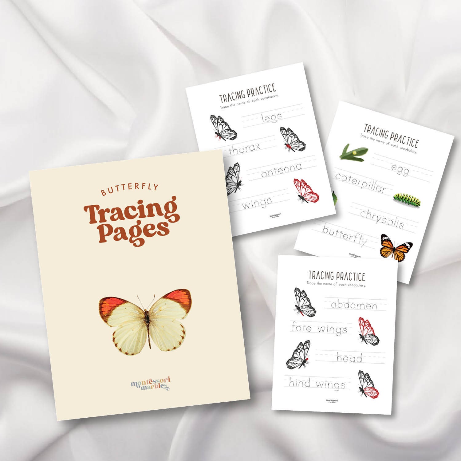 Butterfly Tracing Activities for Preschool and Kindergarten in Print ...