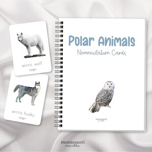 POLAR ANIMALS Nomenclature Cards | Arctic Animals | Montessori 3-part ...