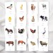 FARM ANIMALS Flash Cards Montessori Inspired Printable Resources ...