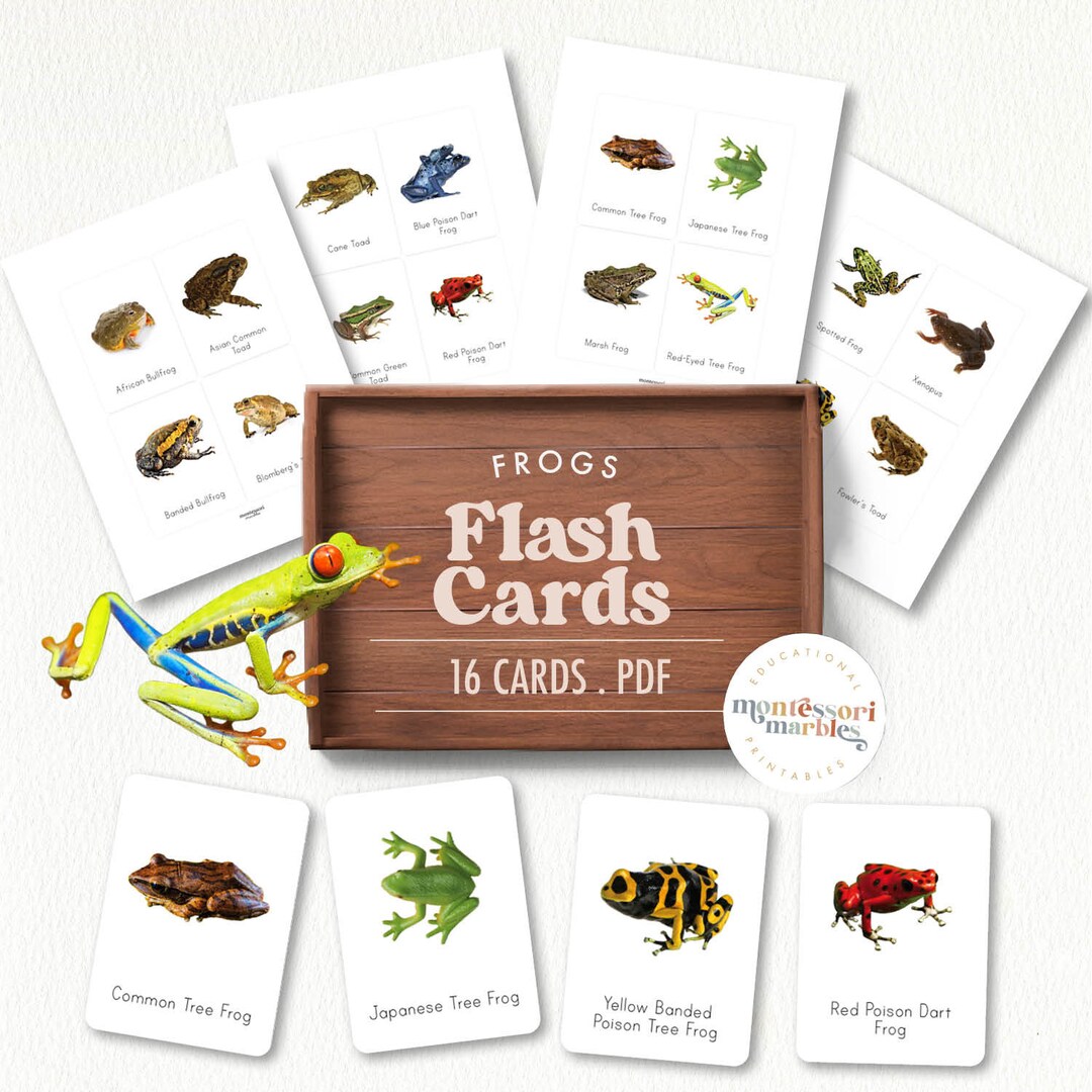 FROGS Flash Cards Types of Frogs Spring Unit Montessori Nature Inspired ...