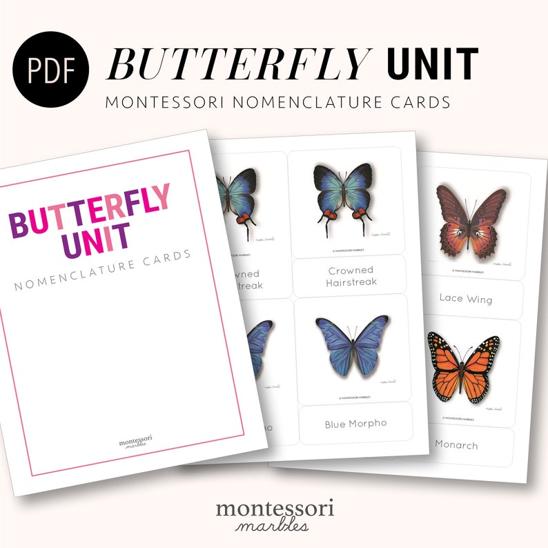 BUTTERFLY Montessori Nomenclature Cards Types of Butterflies | Etsy