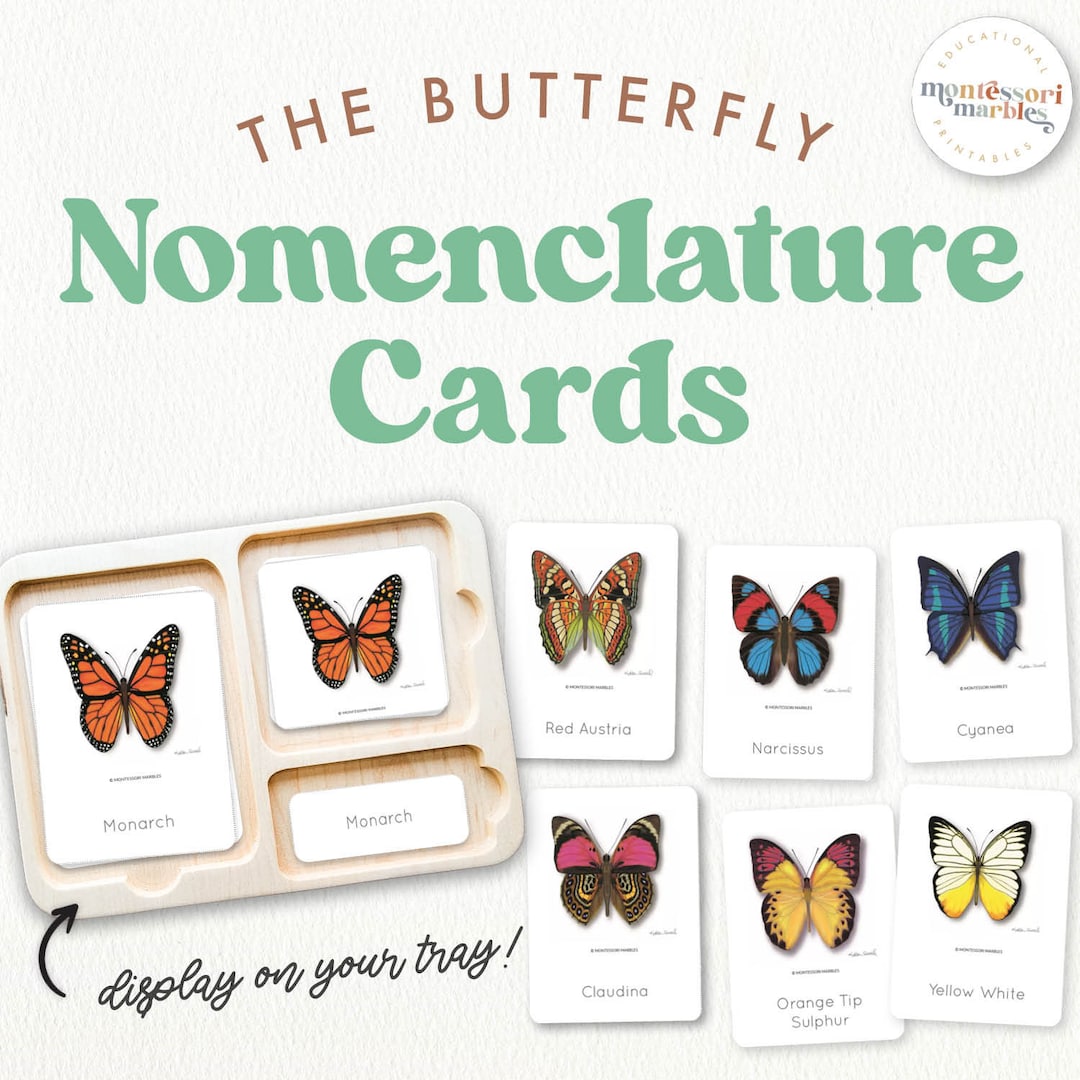 MARIPOSA Tarjetas de nomenclatura Montessori / Tipos de mariposas ...