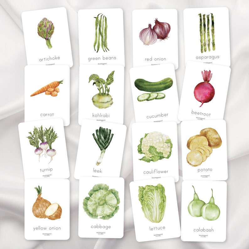 VEGETABLE Flash Cards Montessori Inspired Resources for - Etsy