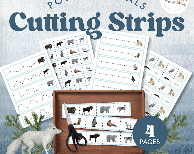 ARCTIC POLAR Animals • Montessori Cards • Flash Cards • Three Part ...
