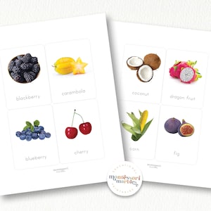 FRUITS Flash Cards | Montessori Inspired Resources With Real Pictures ...